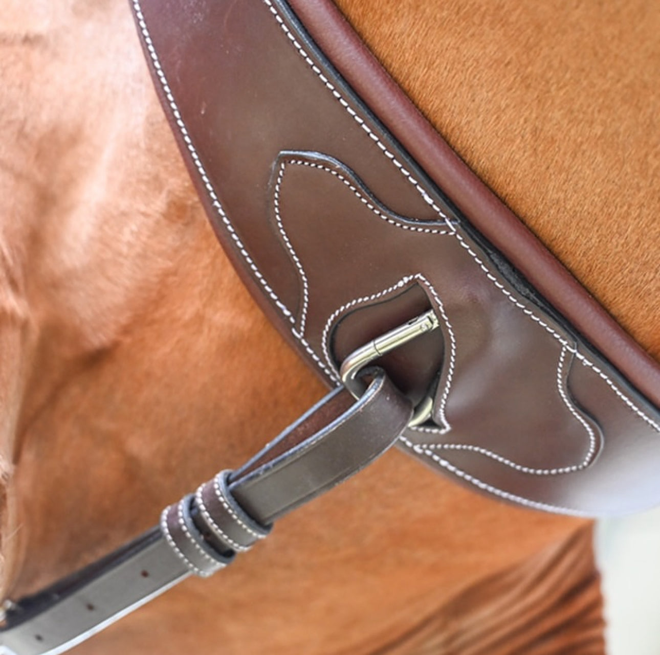 Equestrian Clothing Marketplace, Horse Riding Apparel, Horse Tack ...